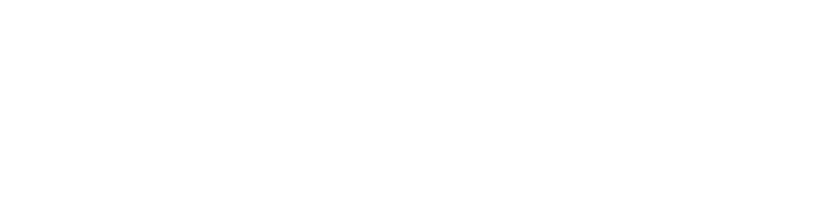 About us - Magnicity