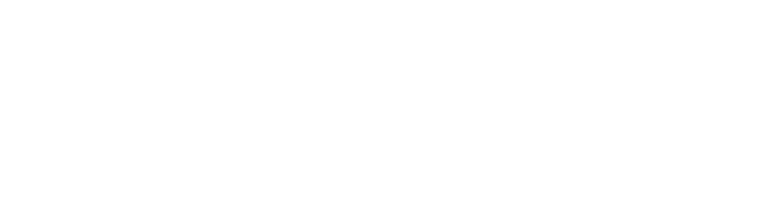 About us - Magnicity