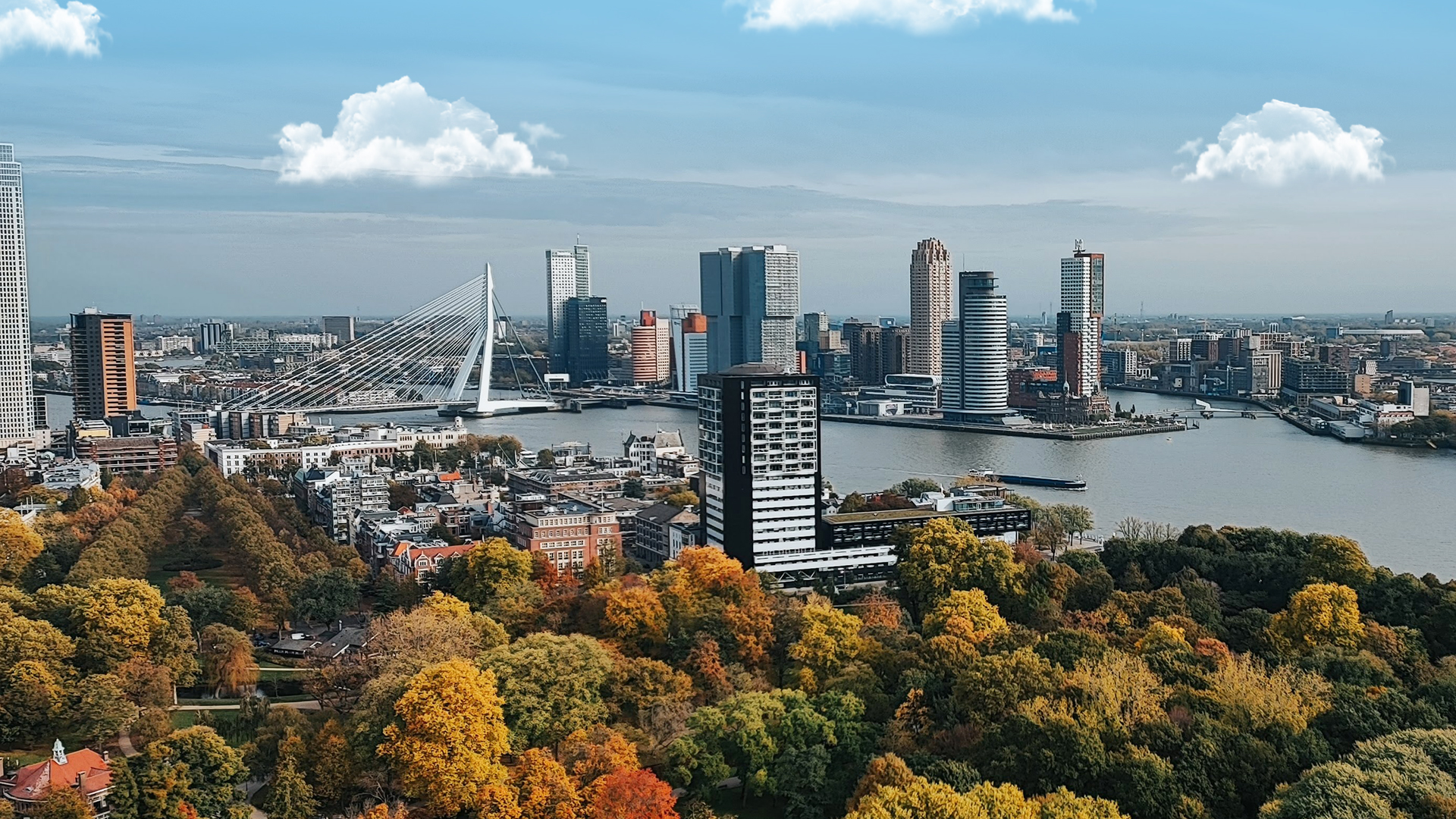 Magnicity App - Magnicity