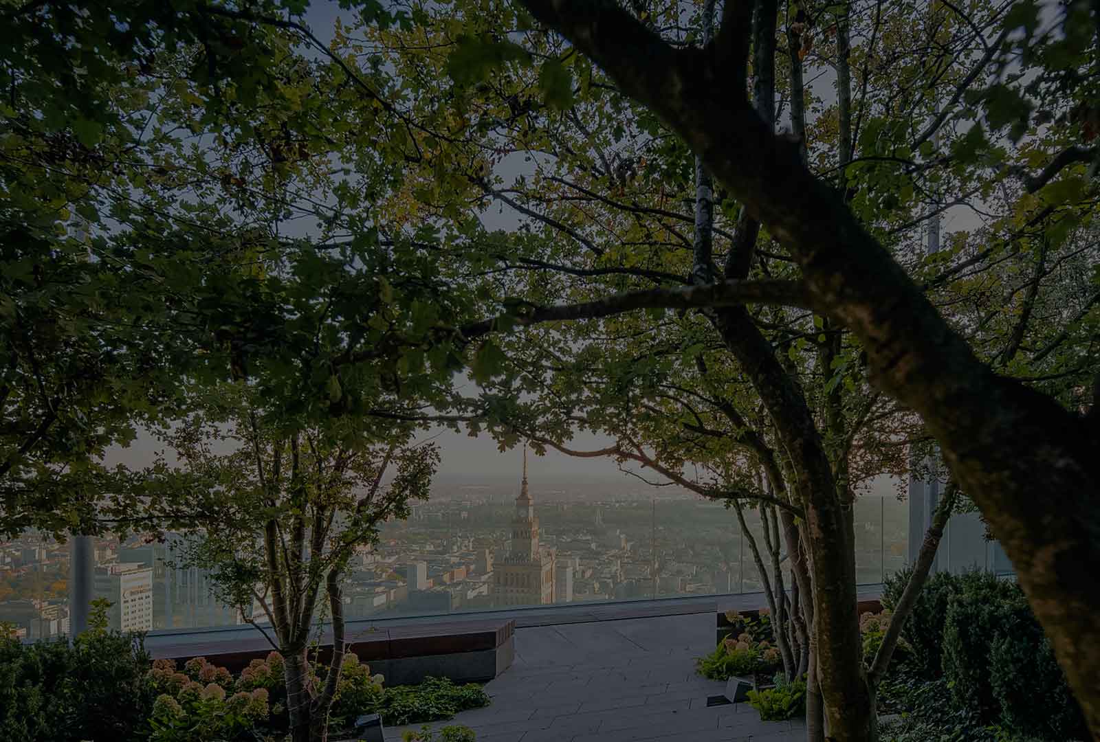 About Us - Magnicity